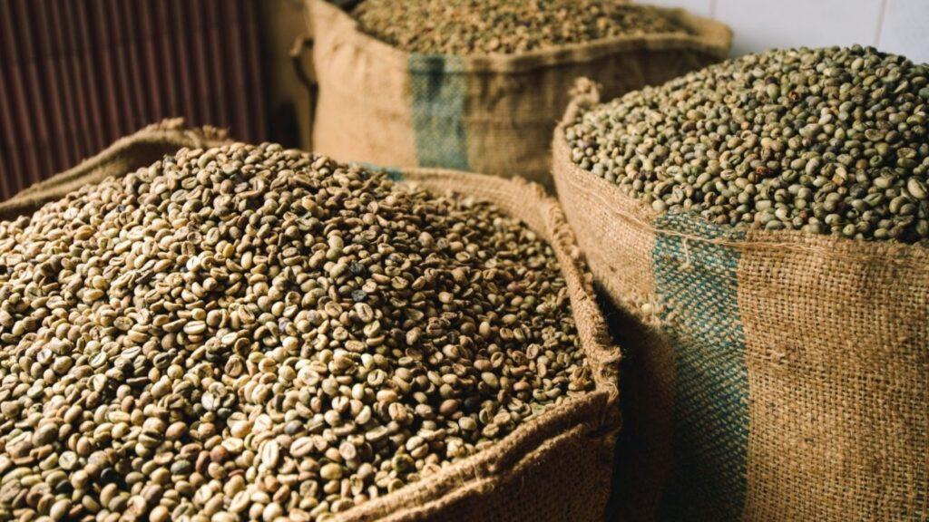 Cara Kirim Kopi Green Bean ke Luar Negeri Agar Lebih Aman - Intrasia.id